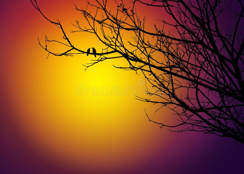Two Birds on Tree in Sunset Stock Illustration - Illustration of season ...