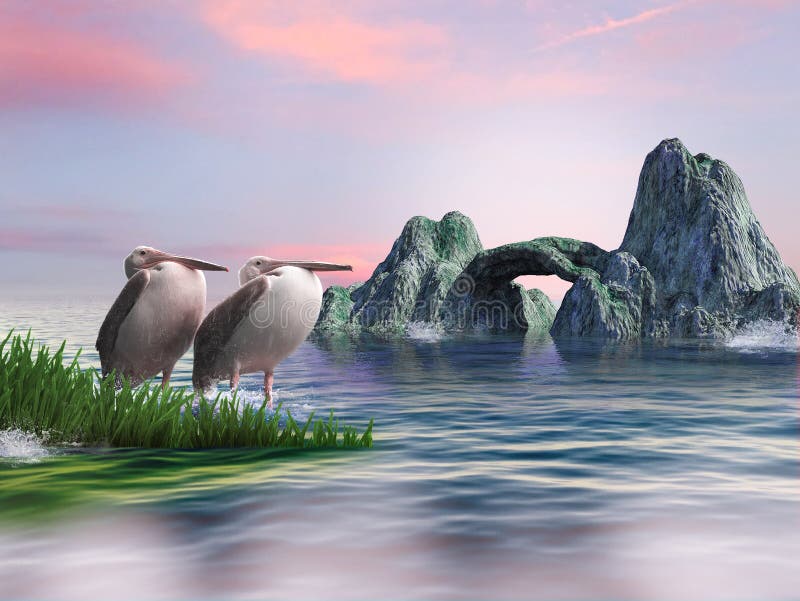 Two Birds on the Water and Rock Stock Illustration - Illustration of ...