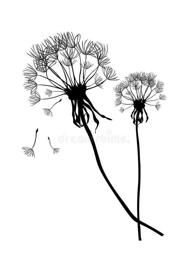 Two Black Vector Dandelions,vector Illustration Stock Vector ...