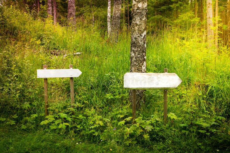 Two Blank Signs in the Forest Stock Photo - Image of people, outdoors ...