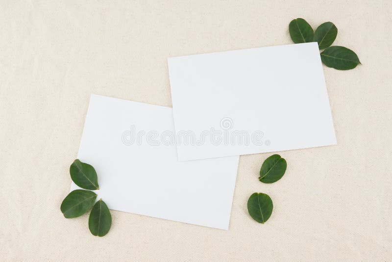 Two blank white cards stock photo. Image of mockup, freshness - 94282200