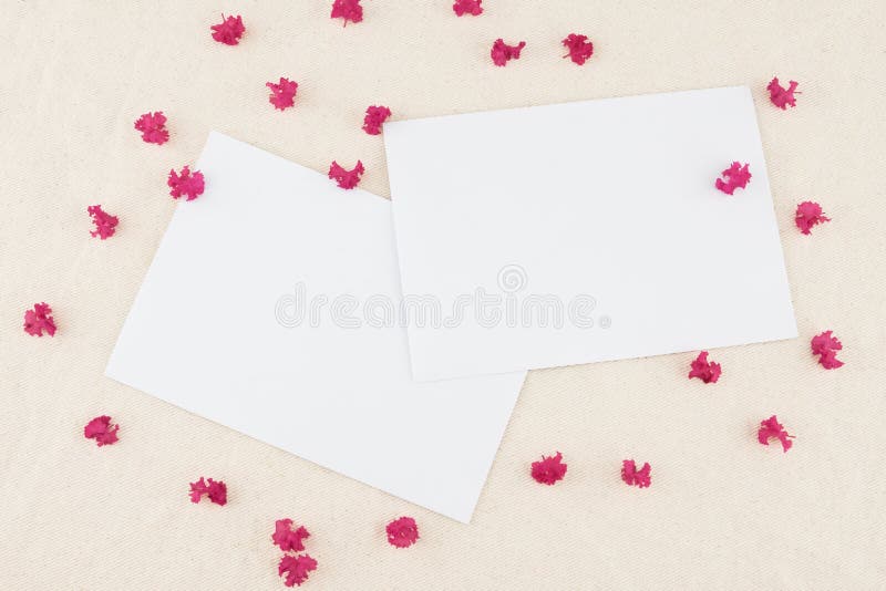 Two blank white cards stock image. Image of empty, brochure - 94282189