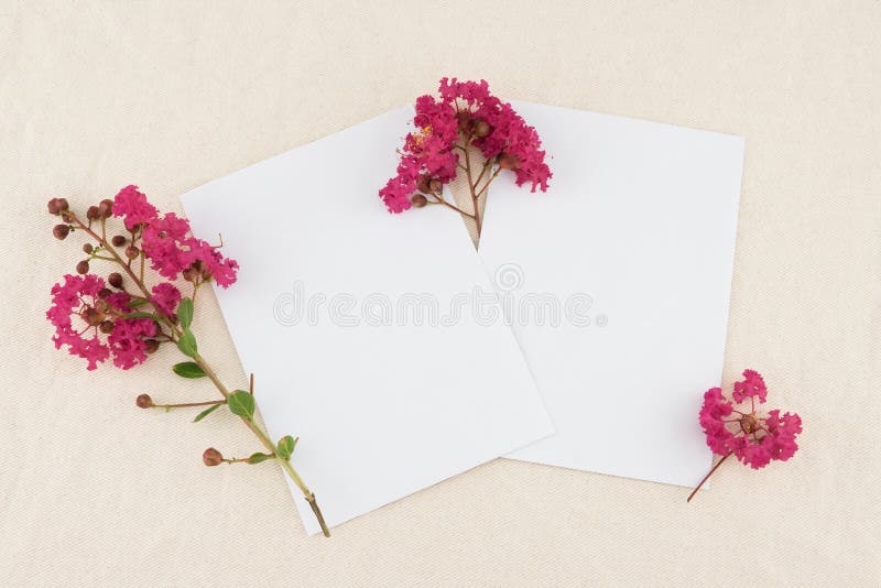 Two Blank White Cards Decorated with Pink Flowers Stock Photo - Image ...