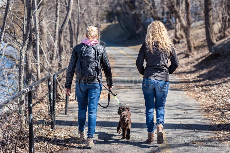 Two Blond Women Walking a Dog Stock Image - Image of blond, exercise ...
