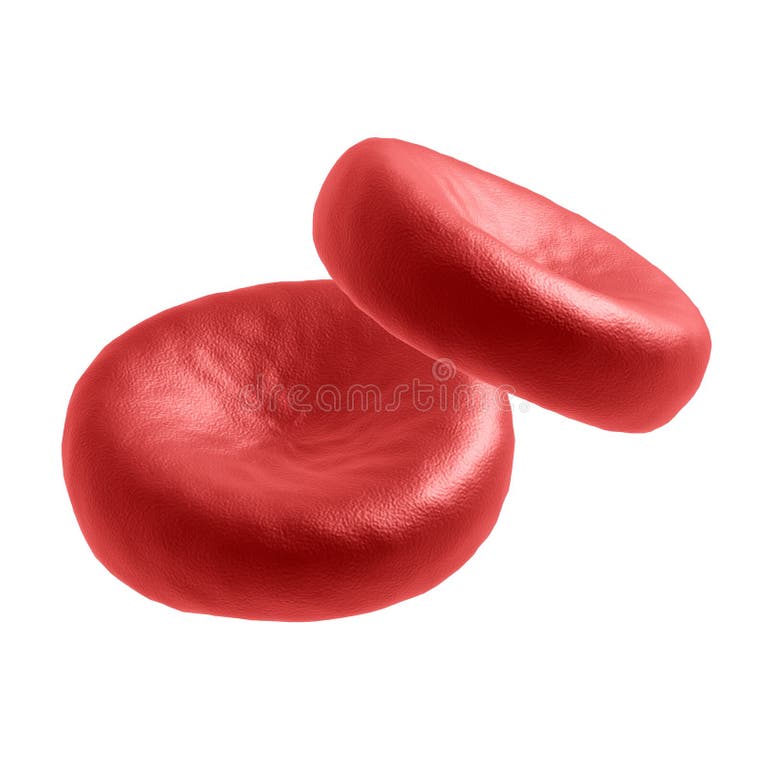 Two Blood Cells Isolated White Stock Illustrations – 23 Two Blood Cells ...