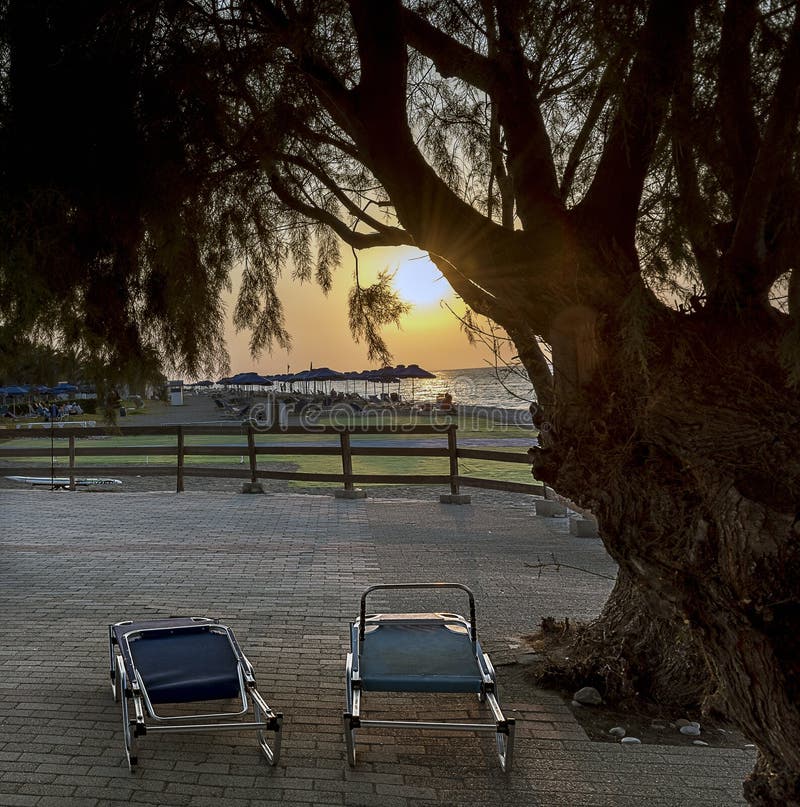 Two Blue Beach Chairs Under a Tree at Sunset Stock Image - Image of ...