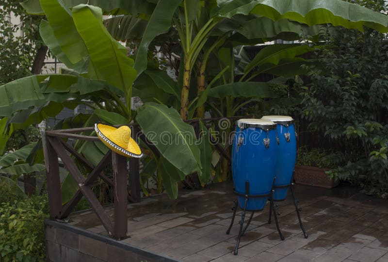 354 Congas Stock Photos - Free & Royalty-Free Stock Photos from Dreamstime