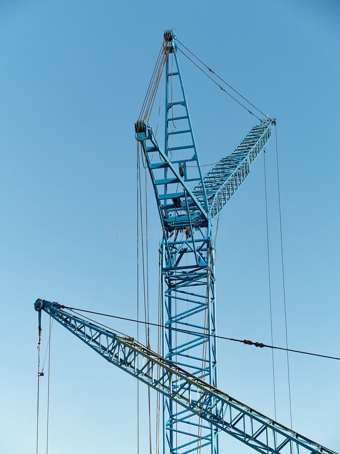 Blue Cranes stock image. Image of proud, cape, habitat - 4515065