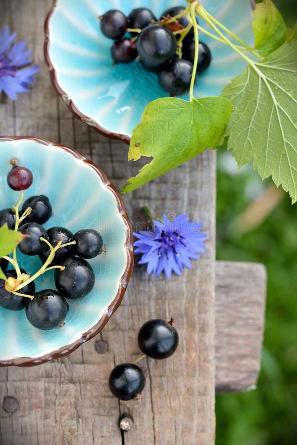 Two Blue Cups with Black Currants on the Bench Stock Photo - Image of ...