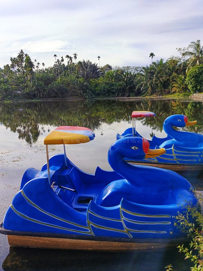 Two Blue Duck Boats on the Lake Stock Image - Image of lake, boats ...