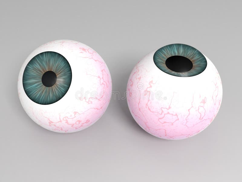 Two Eyeballs Stock Illustrations – 137 Two Eyeballs Stock Illustrations ...