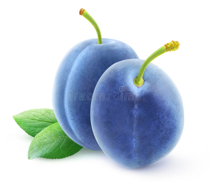 Anna Kucherova (Photomaru) - Photographer profile