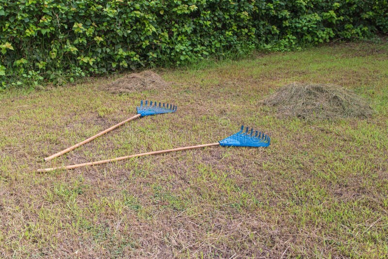 Blue Toy Rake stock photo. Image of shape, shovel, horizontal - 133473418