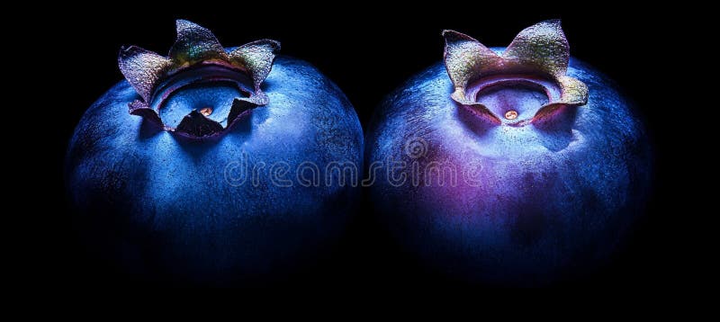 Two Blueberries on Black Background, Highlighting Deep Blue Color and ...