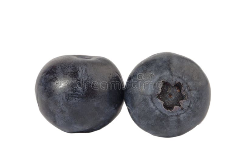 Two blueberries stock image. Image of health, layout - 48261769