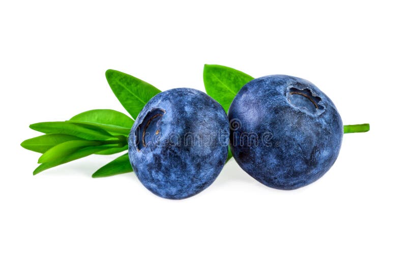 Two Blueberries with Green Leaf Isolated on White Stock Photo - Image ...