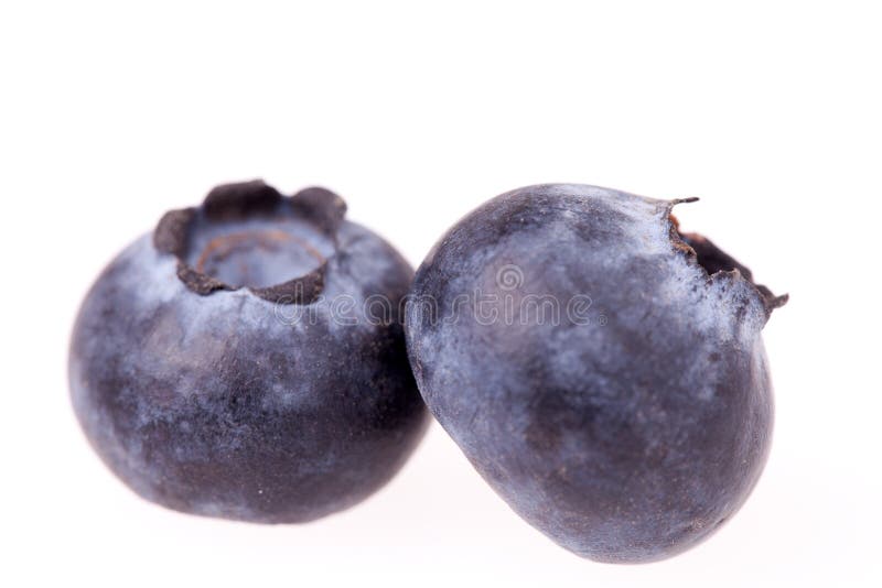 Two Blueberries Isolated stock image. Image of ripe, vegan - 23855267