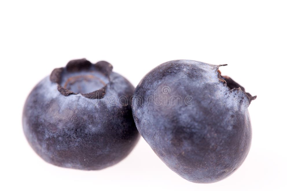 Two Blueberries Isolated stock image. Image of ripe, vegan - 23855267