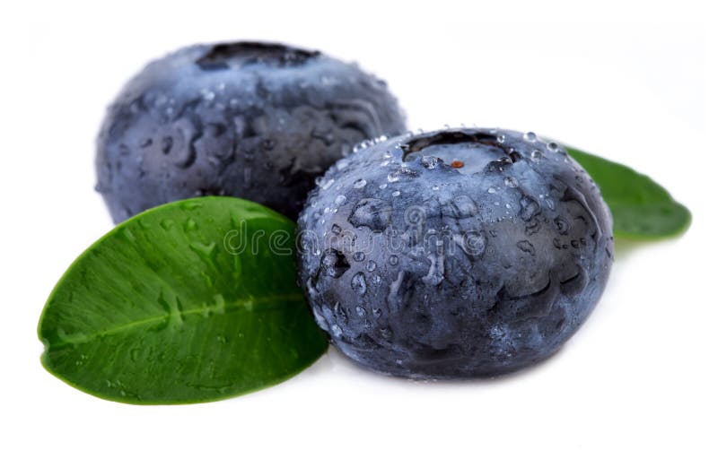 Two Blueberries with Leaf on White Closeup Stock Photo - Image of shiny ...