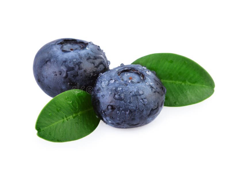 Two blueberries - Macro stock image. Image of tasty, black - 23855151