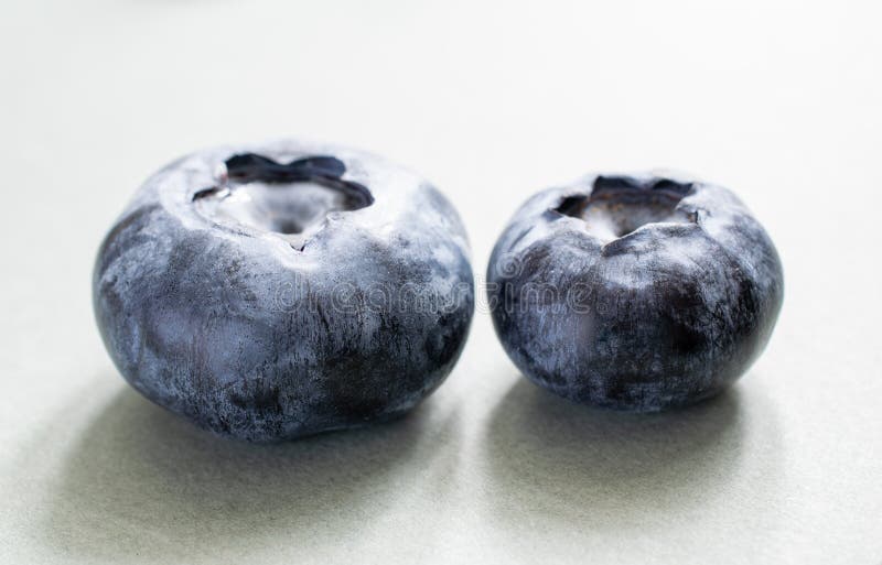 Two blueberry berries stock photo. Image of nutrition - 236397542