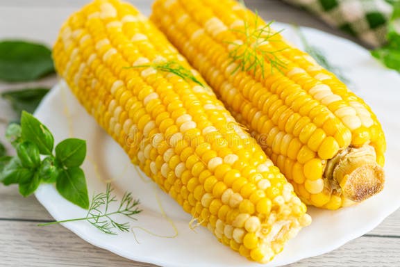 Two Boiled Corn Cobs with Dill on a White Plate Stock Photo - Image of ...