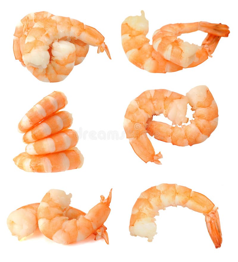 Two boiled shrimp stock photo. Image of meal, white, boiled - 42403176