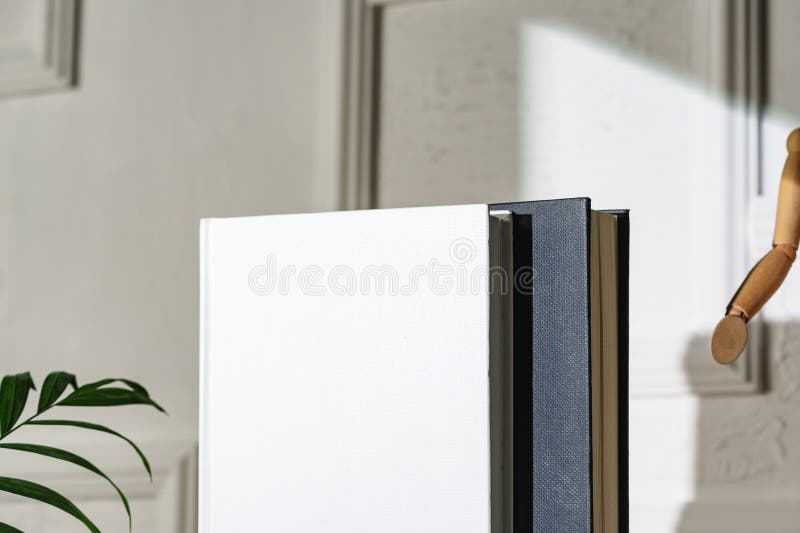 Two Books Stand Vertically Against the Wall Stock Photo - Image of book ...