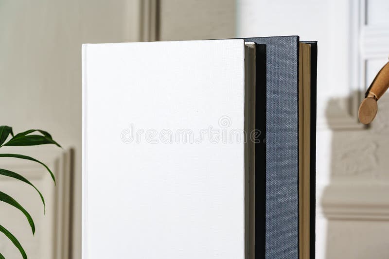 Two Books Stand Vertically Against the Wall Stock Image - Image of ...