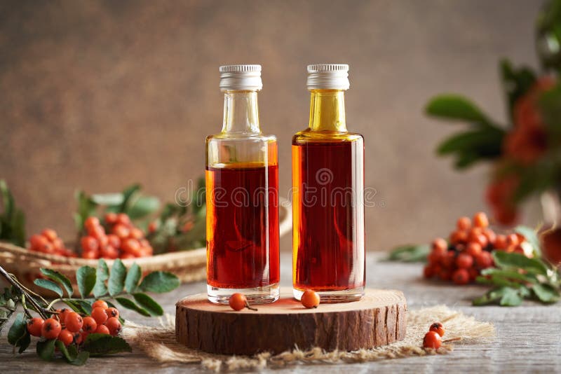Two Bottles of Herbal Syrup Made of Fresh Wild Rowanberry with Fresh ...