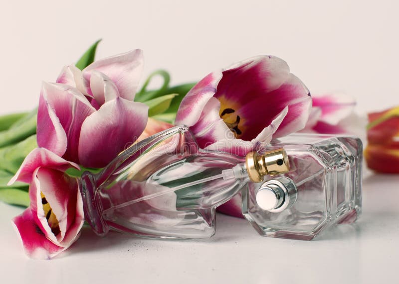 Two bottles of perfume stock photo. Image of elegant - 68255012