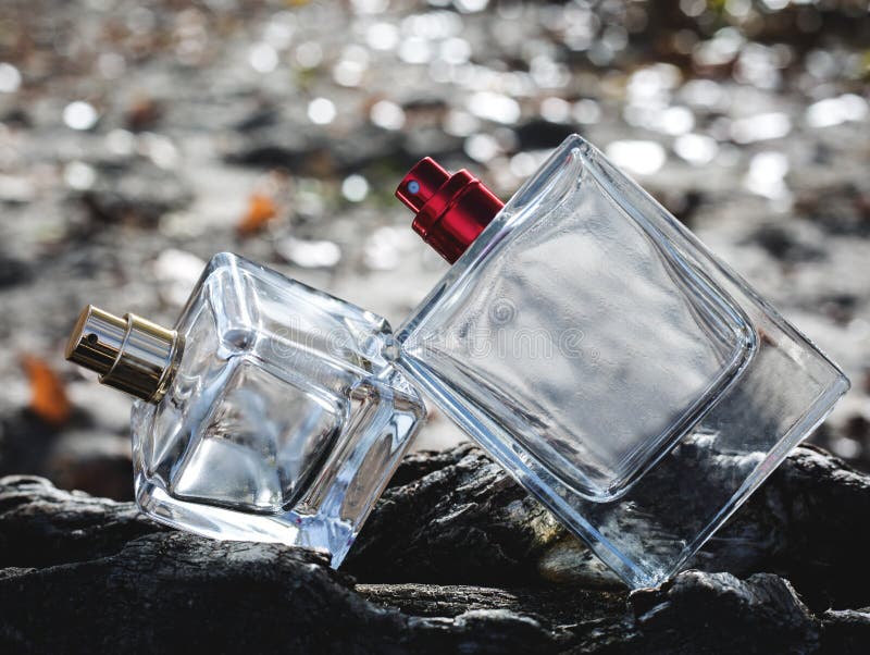Two bottles of perfume stock photo. Image of glamour - 104482834