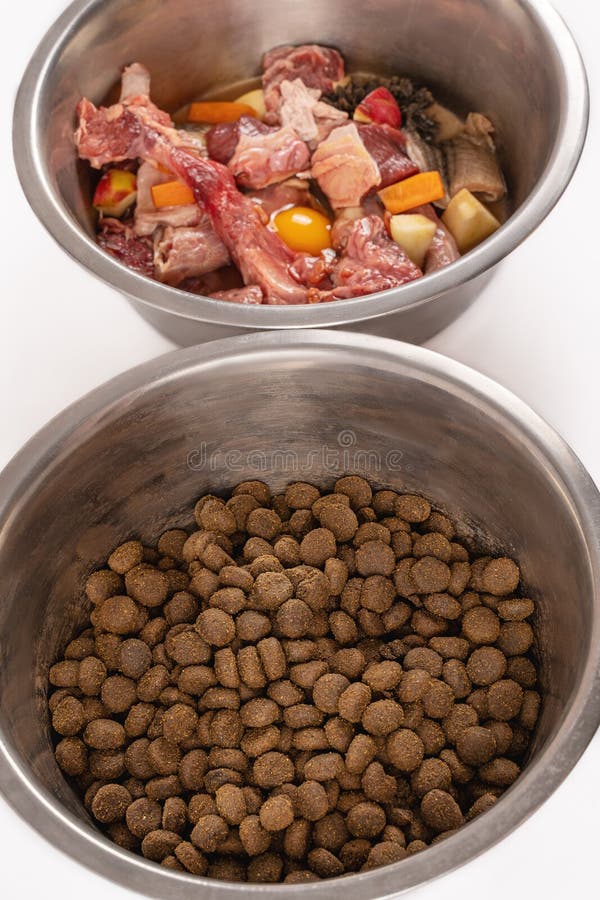 Two Bowls with Dog Food, Processed and Natural Stuff. Stock Photo ...