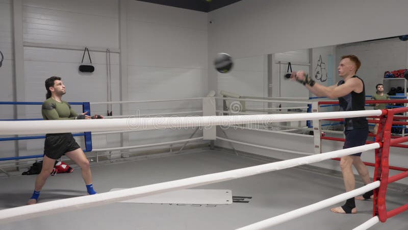 Two Boxer Man Throwing Ball while Warming Training on Boxing Ring ...