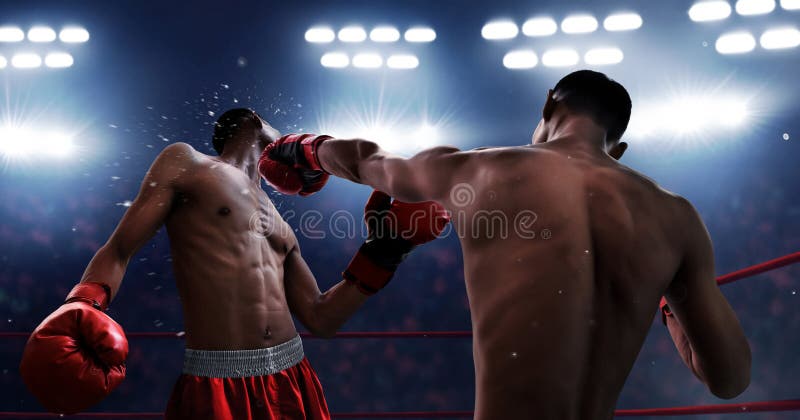 Two Boxers Fight on the Ring Stock Photo - Image of aggressive, event ...