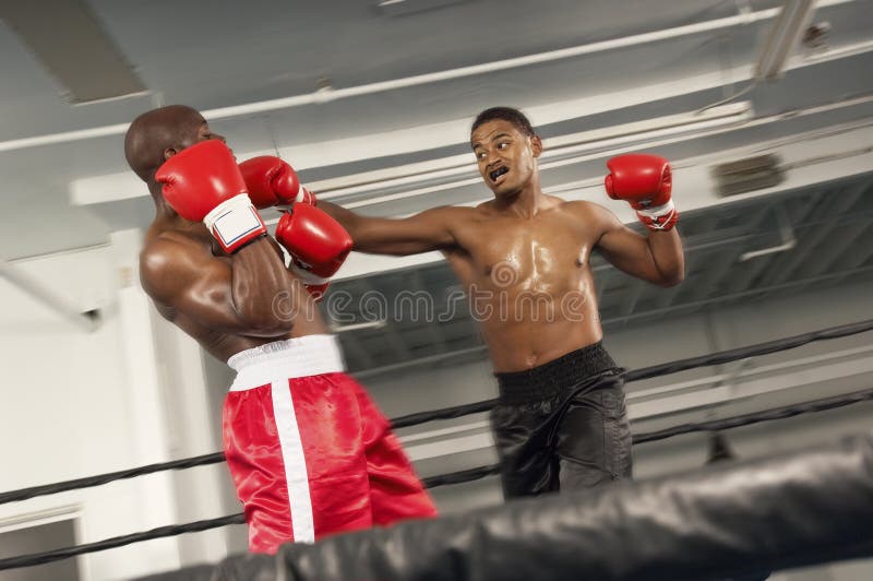 Two Boxers Fighting in Ring Stock Photo - Image of palm, aggression ...