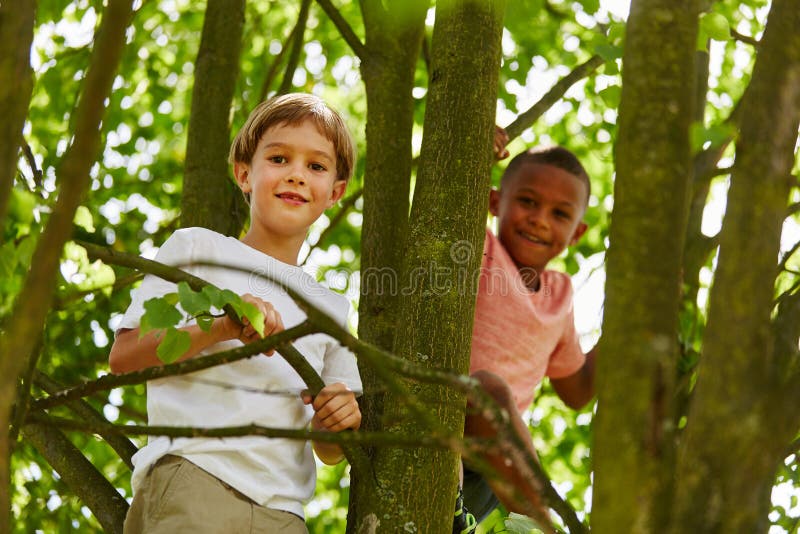 African Boy Climbing Trees Stock Photos - Free & Royalty-Free Stock ...