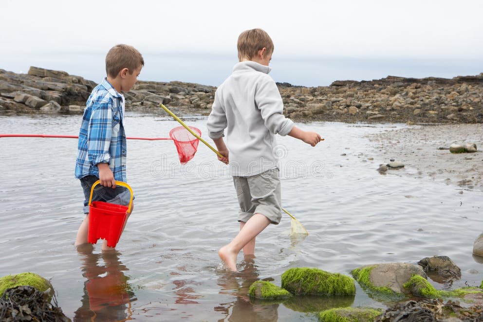 Two Boys Collecting Shells on Beach Stock Image - Image of pond ...