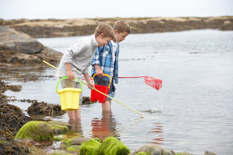 Two Boys Collecting Shells on Beach Stock Photo - Image of bucket ...