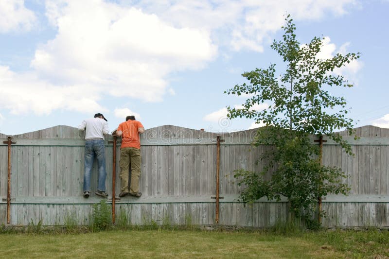 Nosey Neighbor Man Looking Over Fence Stock Photo - Image of game ...