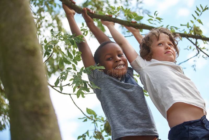 Two Boys Hanging from a Tree Stock Image - Image of autumn, childhood ...
