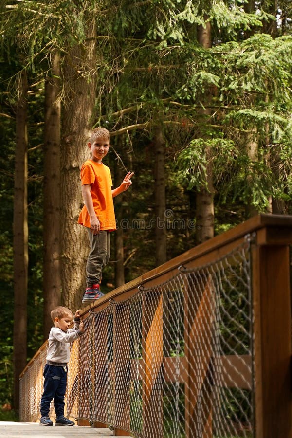 Two Boys Having Fun on a Wooden Bridge. Stock Image - Image of ...