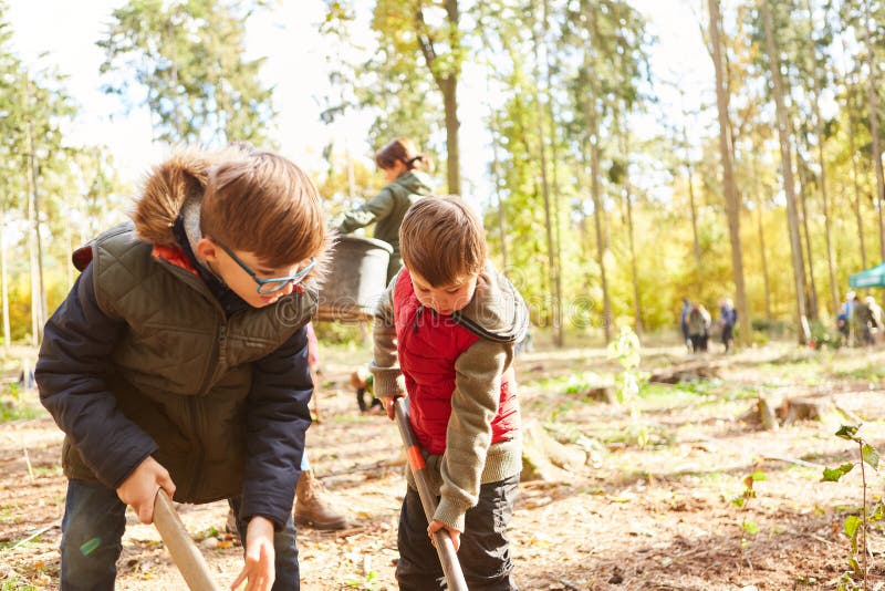 Two Boys Help with the Reforestation Campaign in the Forest Stock Photo ...
