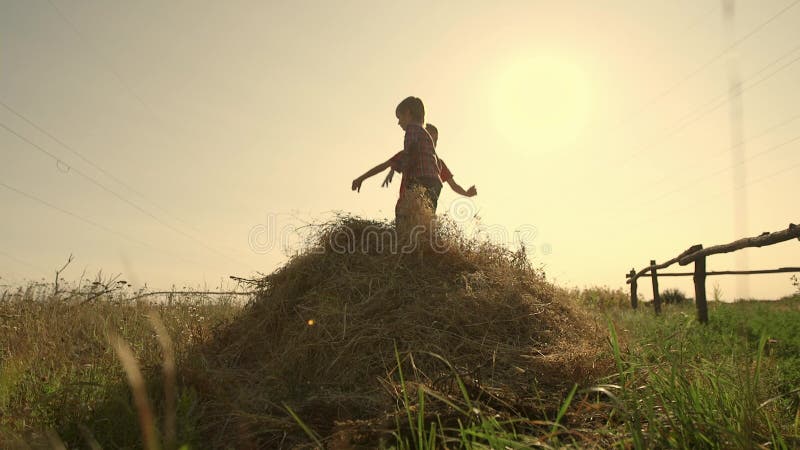 Two Boys Jumping on a Haystack Slow Motion Stock Video - Video of ...