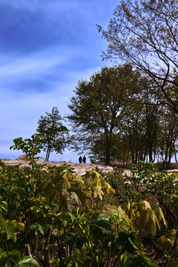 Two Boys Look at the Sea on a Beach Stock Photo - Image of sand ...