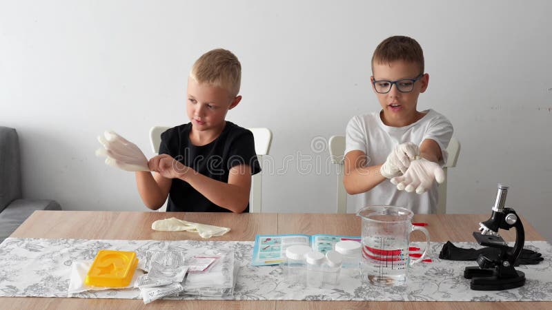 Two Boys Prepare for a Science Experiment by Putting on Rubber Gloves ...