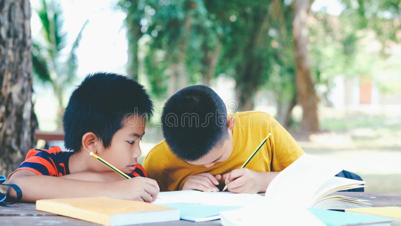 Two Boys of Primary Reading and Doing Homework Together Stock Photo ...