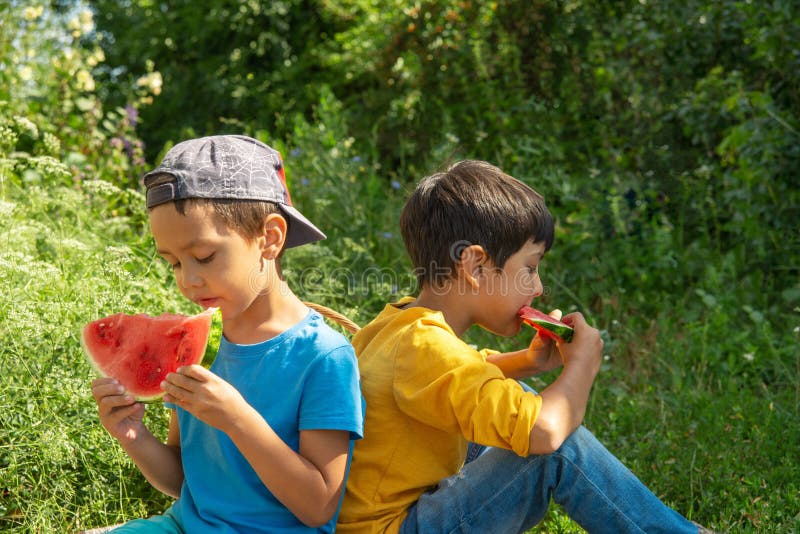 Two Boys Sit on the Grass at a Picnic and Eat Watermelon Stock Photo ...