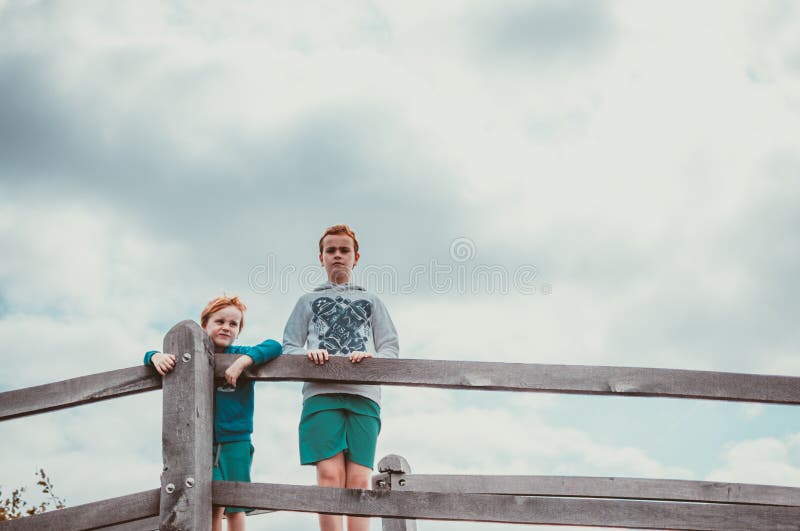 Two Boys Standing on a Wooden Bridge in Beringen Stock Photo - Image of ...