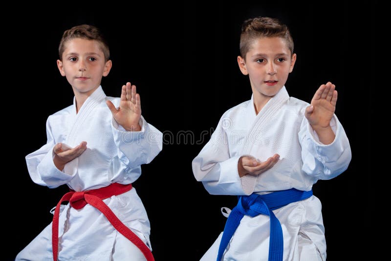 Two Boys Training Karate Kata Exercises at Test Qualification Stock ...